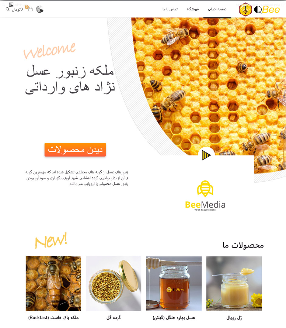 qbee.ir - Amin Ansari - امین انصاری